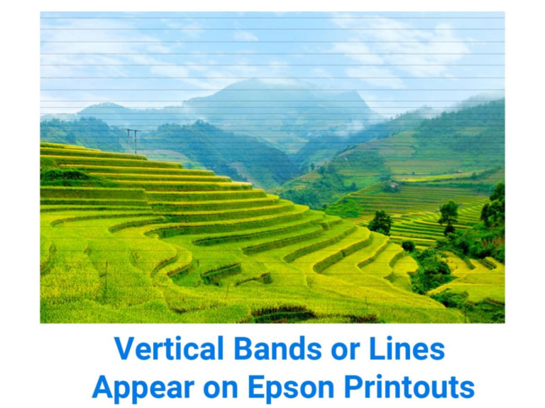 Vertical Bands or Lines Appear on Epson Printouts - akaca